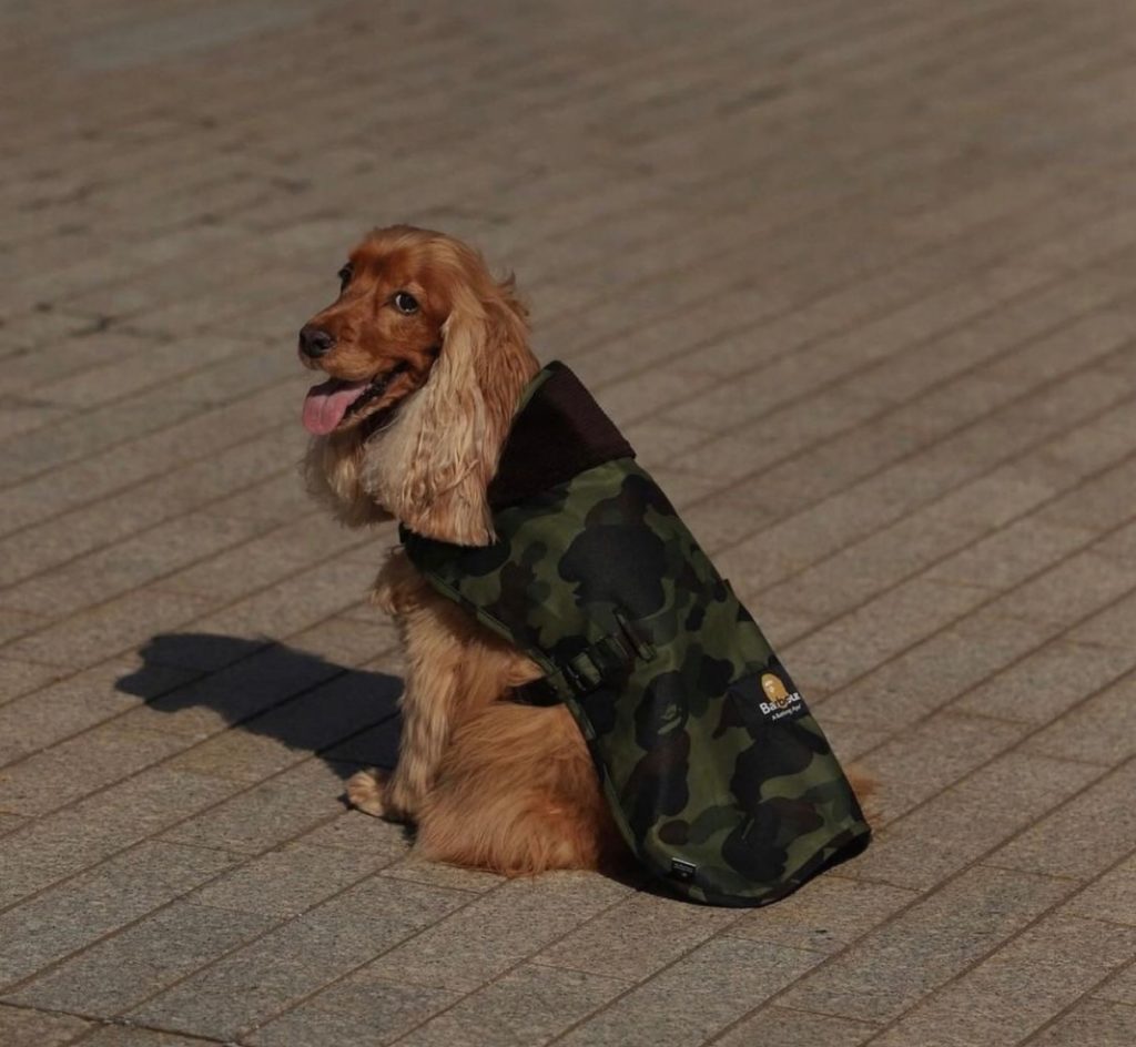 BAPE®︎ × Barbour 初コラボコレクションが国内10月17日に発売予定 | UP TO DATE