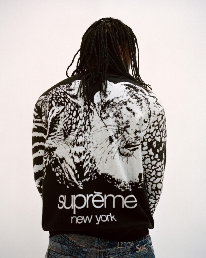 Supreme 2023SS THEM Magazine エディトリアルが公開 | UP TO DATE